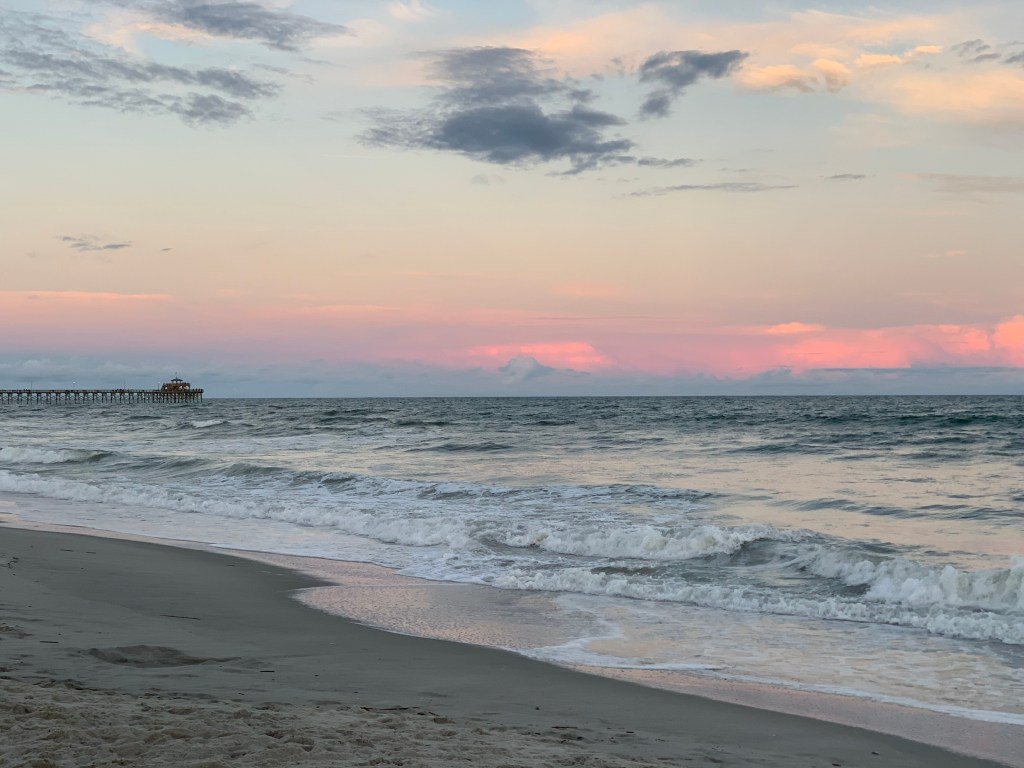 The Skeptical Client - The Coastal Vet